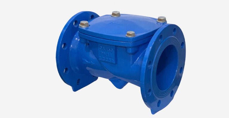 Swing Flex Check Valves